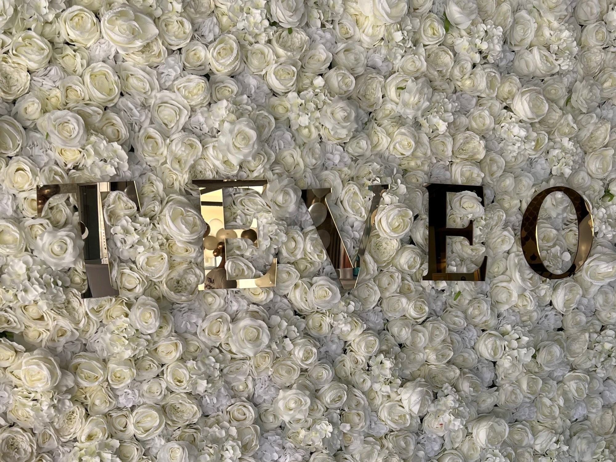 Über uns – Die Geschichte hinter TEVEO